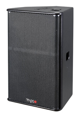 SPS12 - 迪素音响